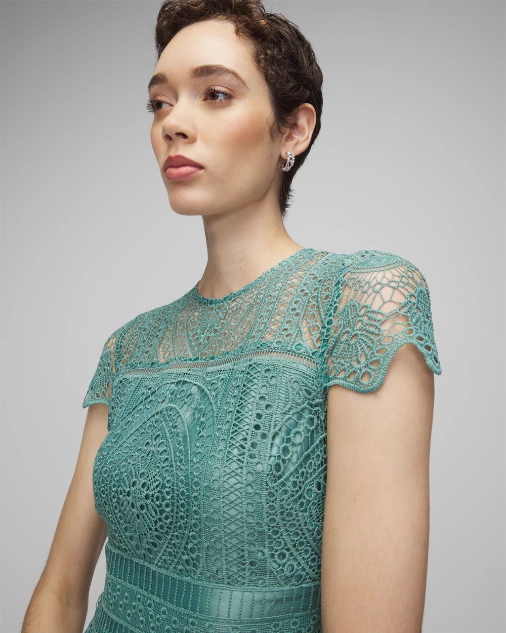 Embroidered Lace Fit-and-Flare Dress | White House Black Market