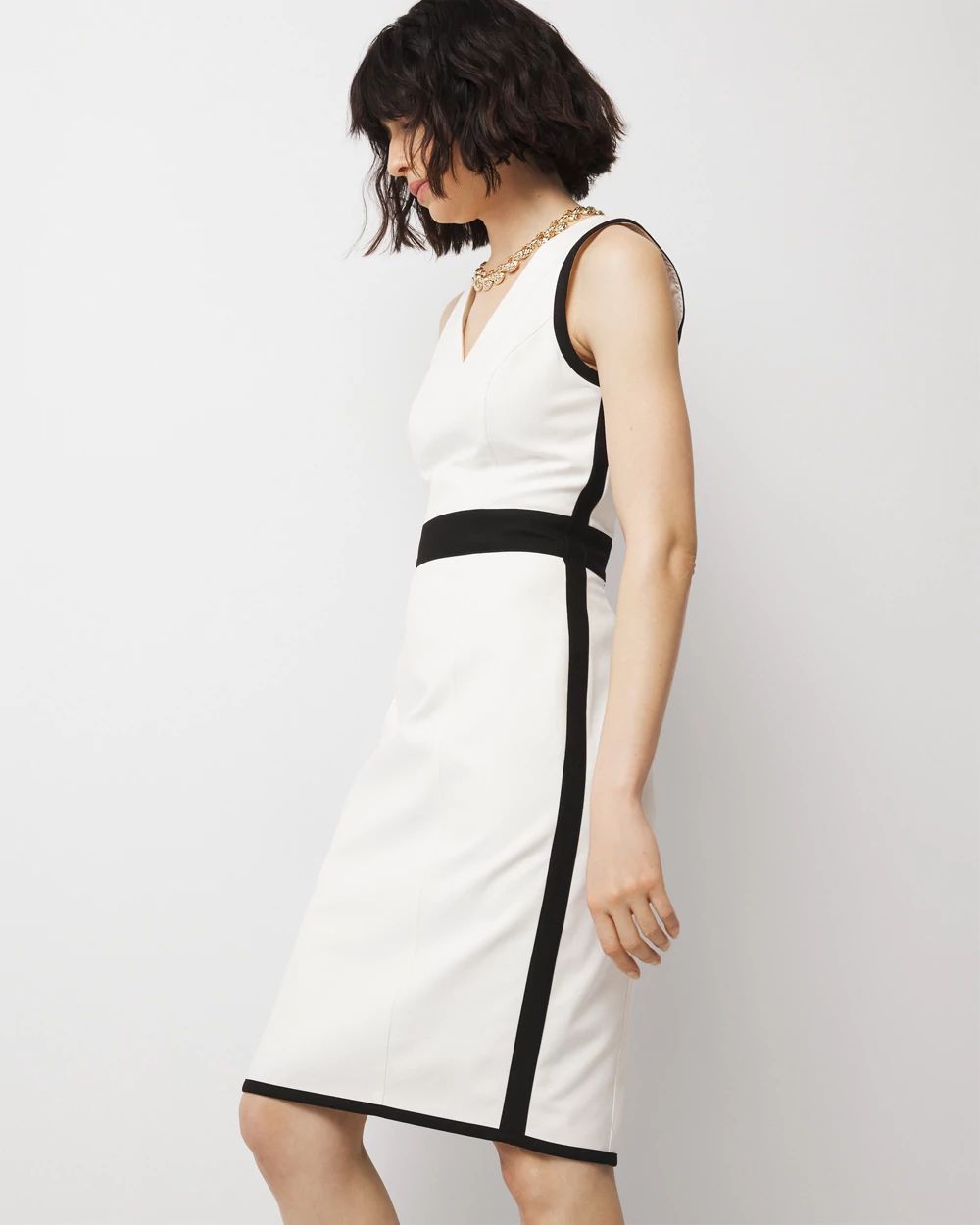 Sleeveless V-neck Colorblock Sheath | White House Black Market